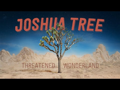Joshua Tree: Threatened Wonderland