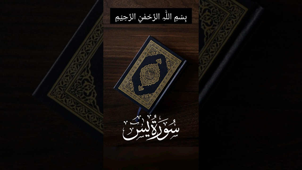 Surah yaseen with translation ayat 8