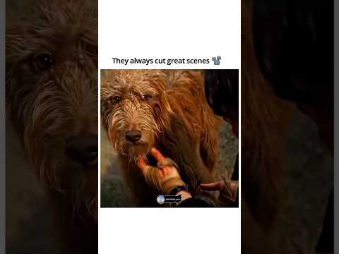 Dr stange Best scene Ever #shortvideo #shorts #movie