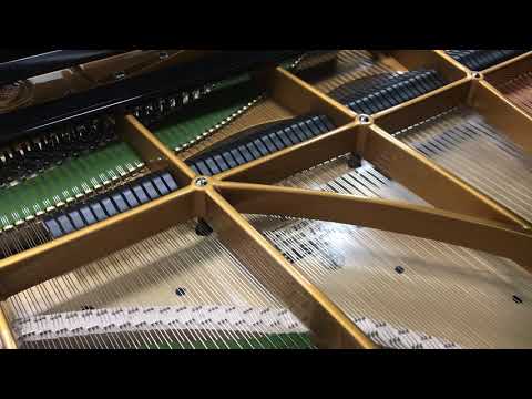 Bechstein Concert Grand - Chopin