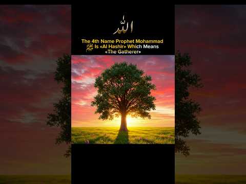 What IS The 4th Name Of Prophet Mohammad? #allah #religion #islam #rustumkashafsbrother #love #peace