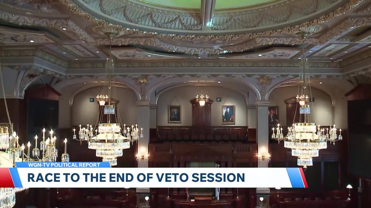 Illinois Veto Session: Republicans Weigh in on Legislative Agenda