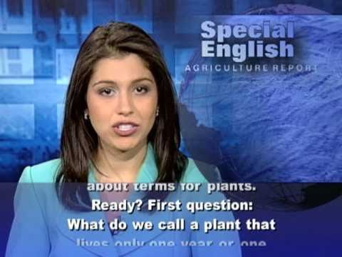 Test Your Word Knowledge With a Quiz About Farm Terms