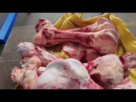 PACIFIC Stainless Steel Bone Breaker, PreBreaker | Pacific Food Machinery