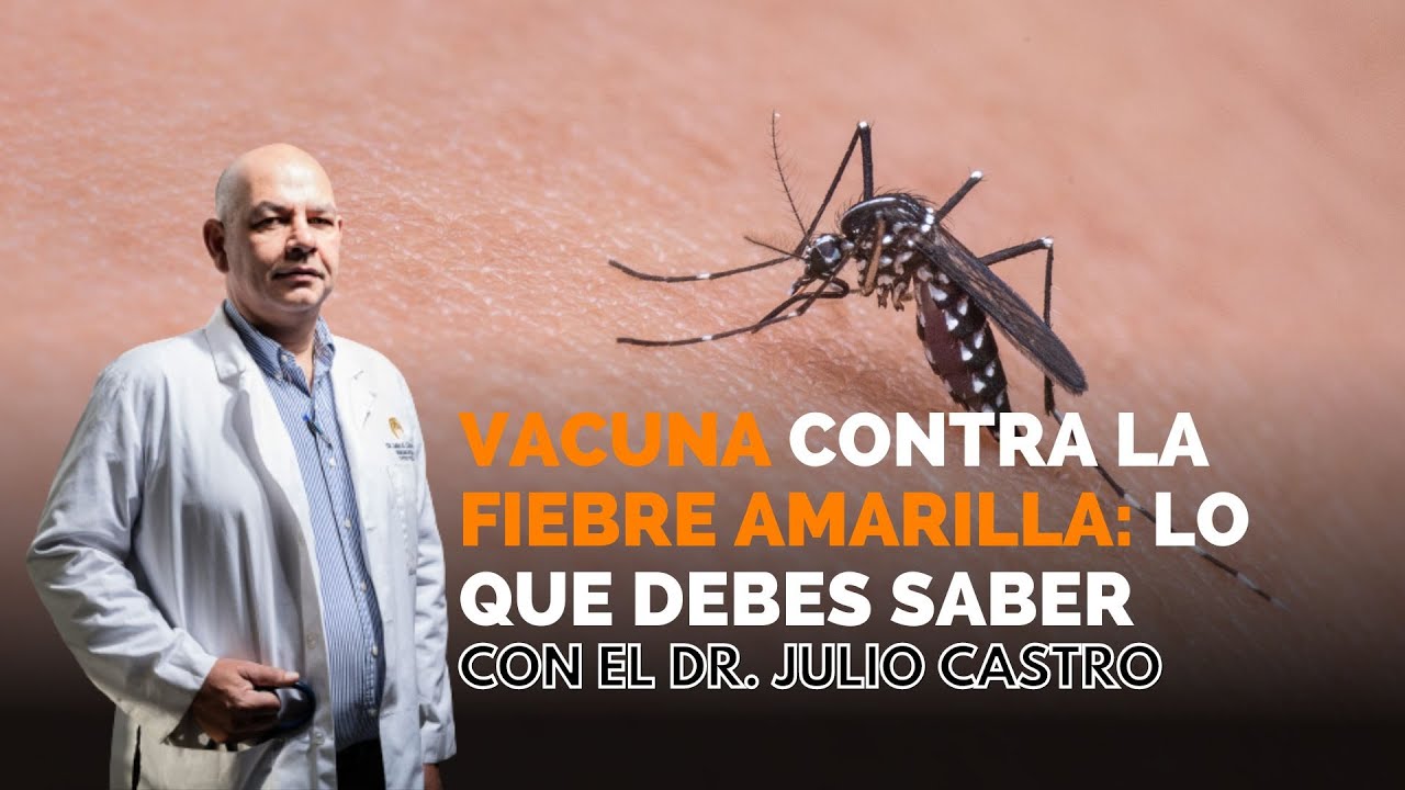 Yellow fever vaccine: what you should know || Medical report with Dr. Julio Castro
