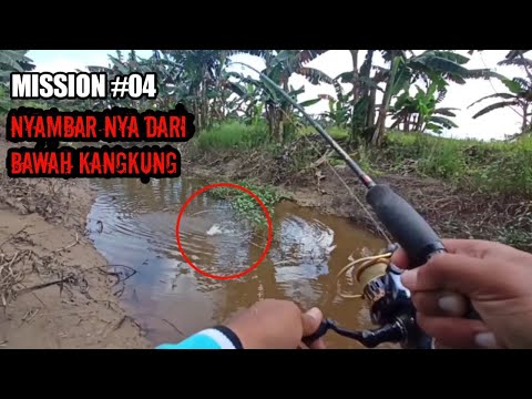 CARI IKAN GABUS/SNACKHEAD HABIS BANJIR || MISSION #04