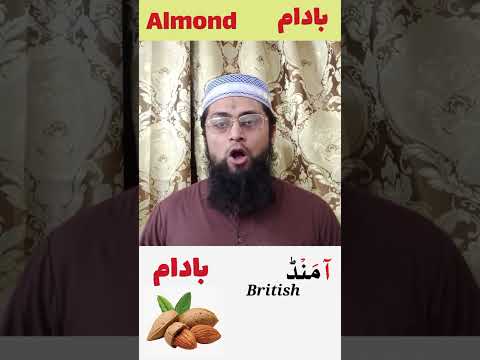 Correct Pronunciation of Almond | #shorts | @thebiolishworld