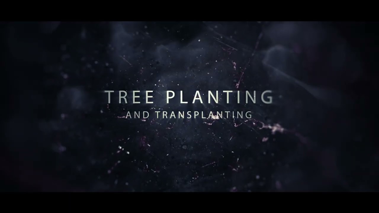 VIP Tree Service: Elevate Your Landscape with Expert Care and Precision