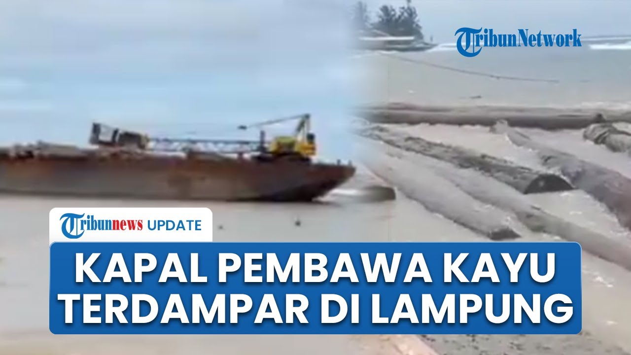 Heboh Kapal Pengangkut Kayu Gelondongan dari Sumatera Terdampar di ...