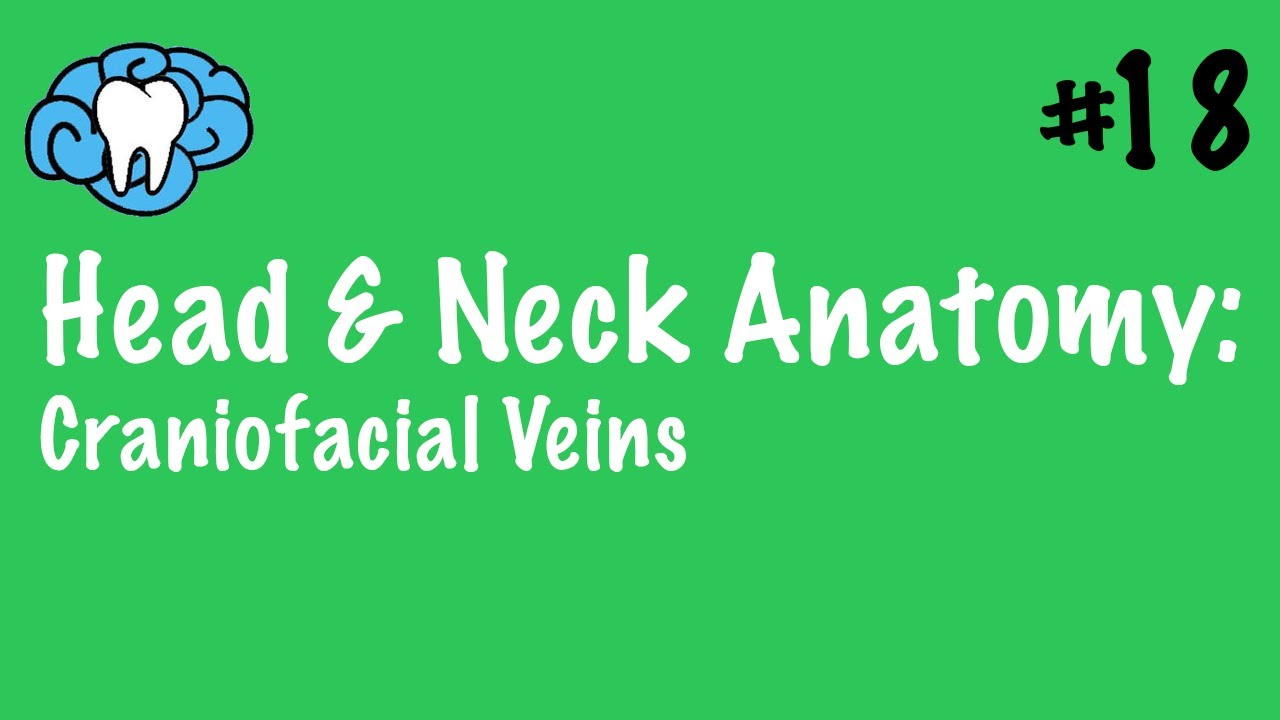 Head & Neck Anatomy | Craniofacial Veins | INBDE