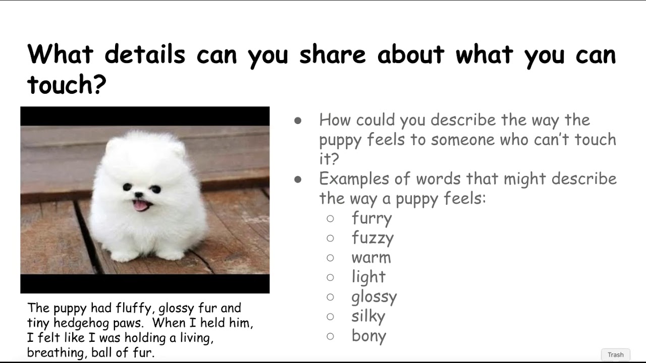 Using Sensory Details