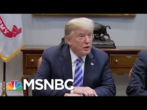 'Volcanic' Donald Trump Says NYT Must Name Official Who Wrote Op-Ed | The 11th Hour | MSNBC