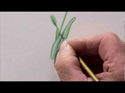 A-Z of Botanical Flowers Four - Snowdrop Programme Two - Part One
