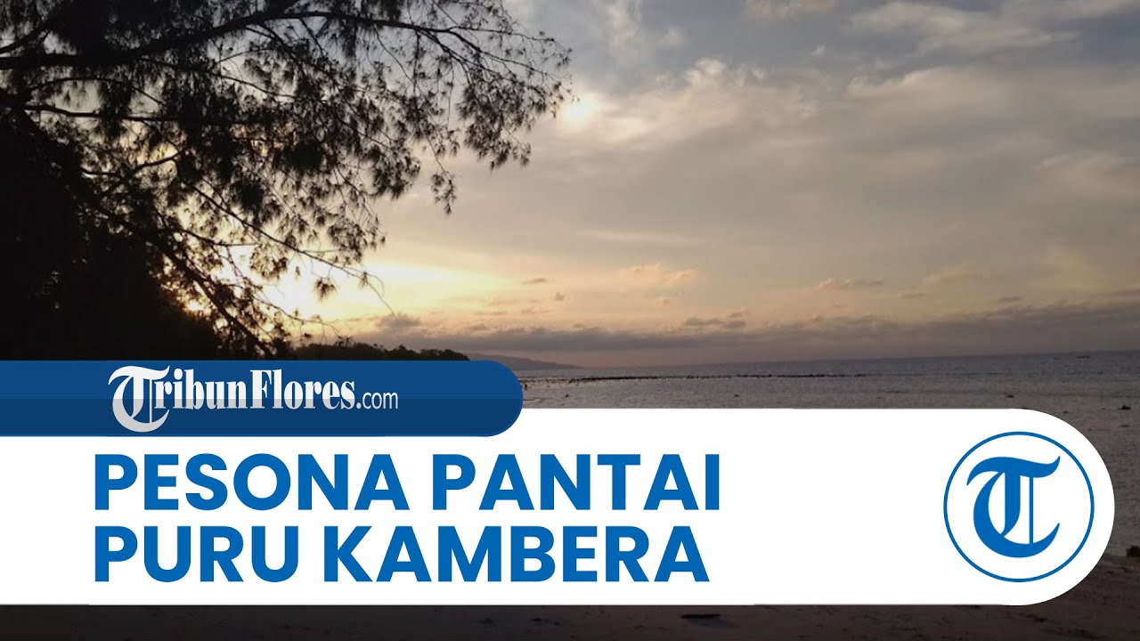 Pesona Pantai Puru Kambera di Sumba Timur, Suguhkan Keindahan Hamparan ...