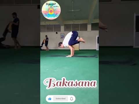 #yogasana #Bakasana #Yogarpit #Shivank_Awasthi #Gurukul_kangri_Vishwavidyalaya #Haridwar #asana #yog