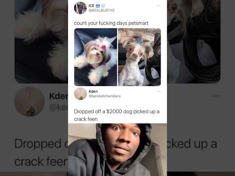 Dropped off a $2000 dog picked up a crack feen #meme#memes