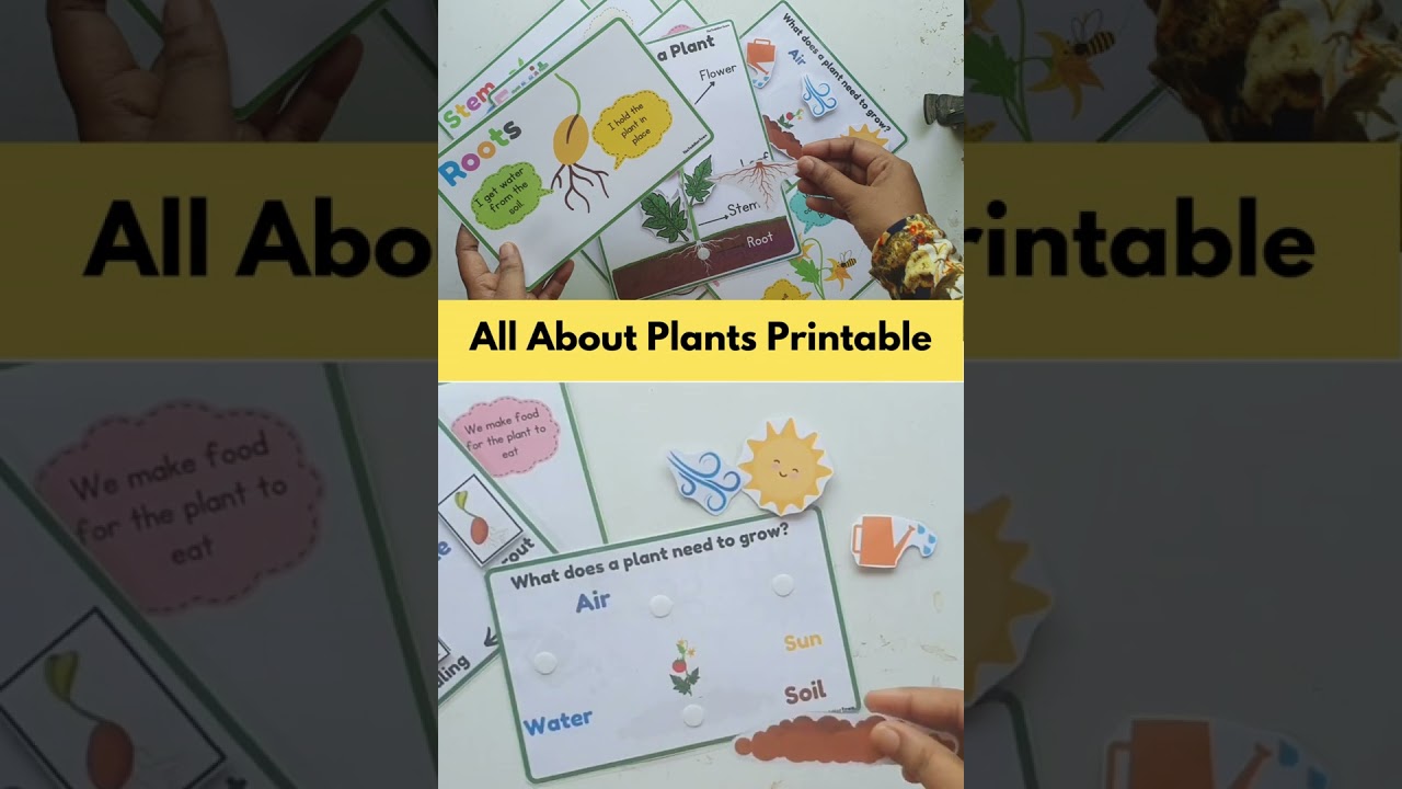 All About Plants, Preschool printable, Homeschool Curriculum