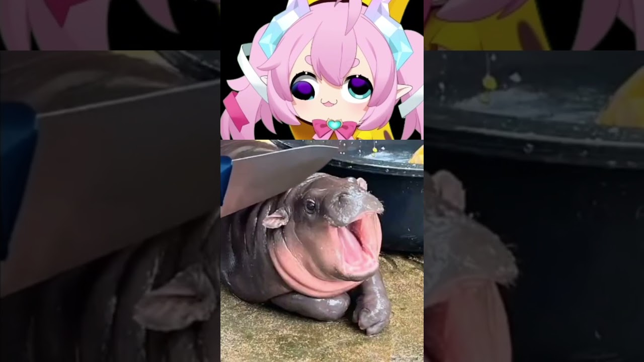 NOO!! MOO DENG!! 😭 #shorts #chibidoki #vtuber #moodeng