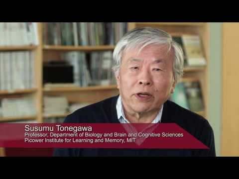 Basolateral to Central Amygdala Neural Circuits for Appetitive Behaviors