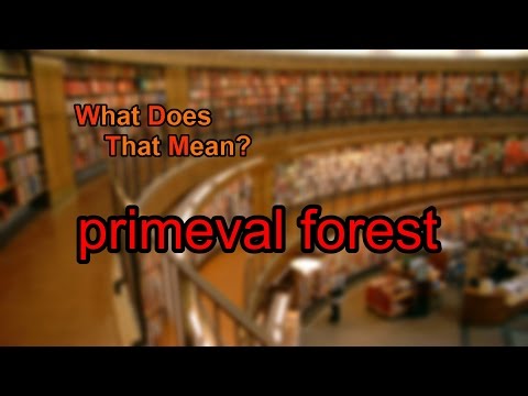 What does primeval forest mean?