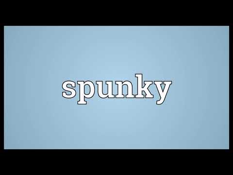 Spunky Meaning