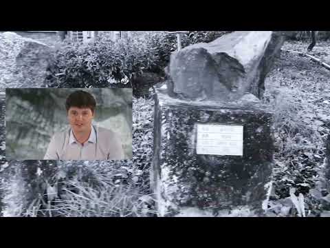 First 500 days by jason-haynes - ARTS THREAD