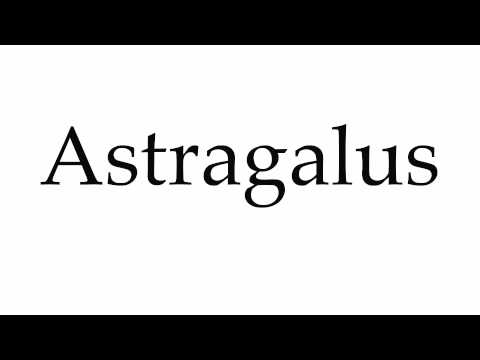 How to Pronounce Astragalus