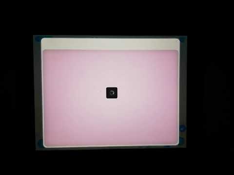 Learn Chinese - hihilulu | Chinese Immersive Learning App for Children
