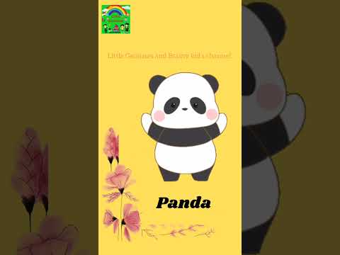 Learn New words start with P . upper class kids