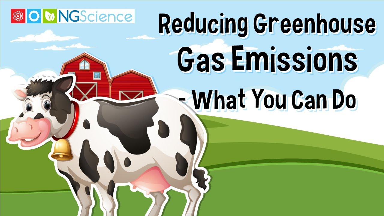 Reducing Greenhouse Gas Emissions – What You Can Do