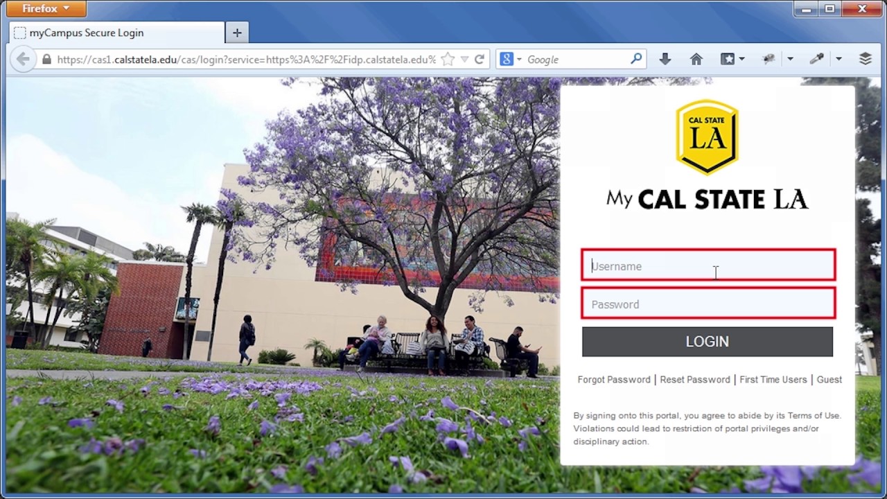 Cal State LA Web Platform: Logging In