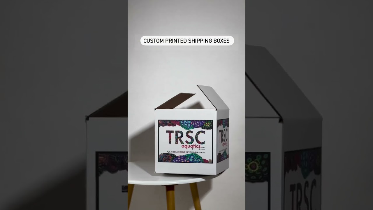 Stand Out with Zebra Pack's Custom Printed Boxes | Shipping Supplies  | Packaging Products