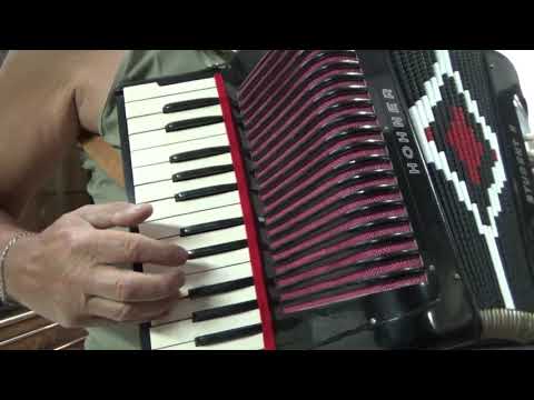 HOHNER STUDENT II 12 bass piano accordion 1960- 1970 shine | Reverb