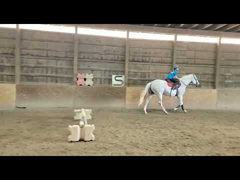 6 Things To Love About the Pivo Equestrian Edition | HORSE NATION