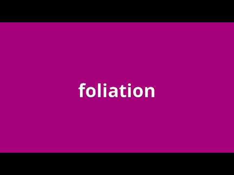what is the meaning of foliation