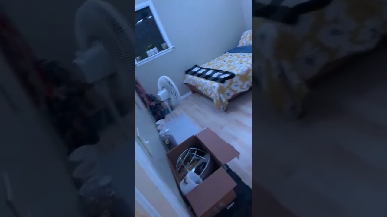 filtered 966B3DAF B517 4ED7 84BB 52F1EDD635AB