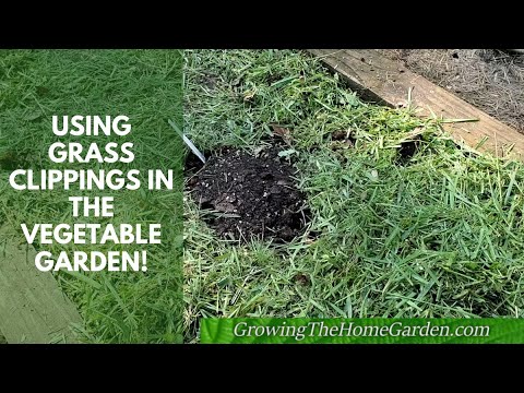 Are Grass Clippings Good in a Raised Bed Vegetable Garden? Yes! Yes They Are!