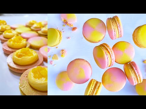 Mango Macarons