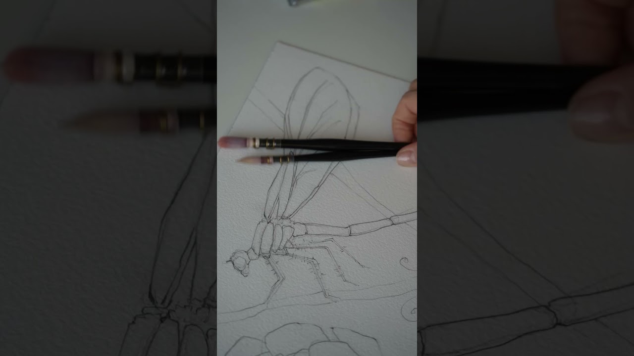 I decided to draw a dragonfly, let's see what happens 😏