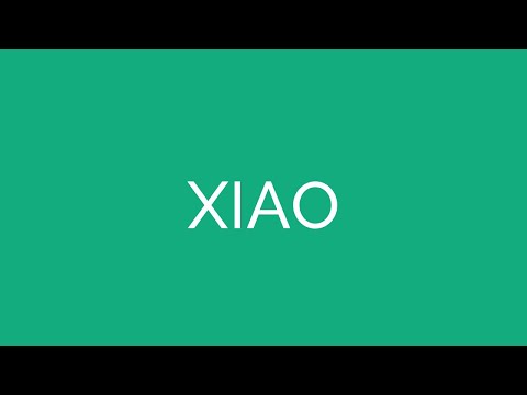 How To Pronounce Xiao