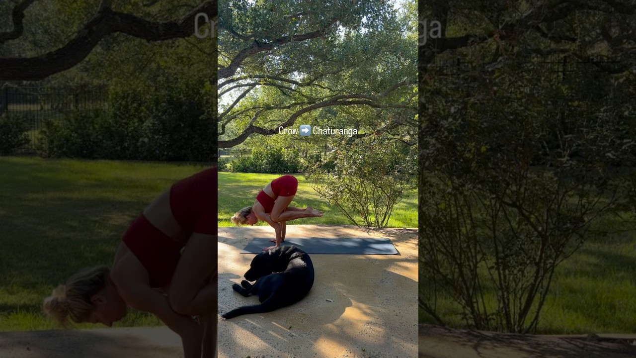 Crow to Chaturanga Tip: Keep Your Eyes Forward