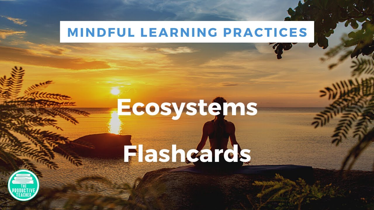 Ecosystems Digital Flashcards