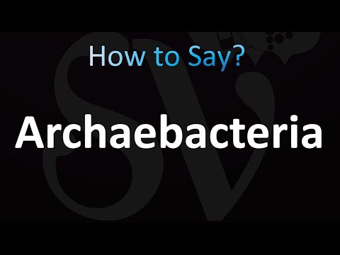 How to Pronounce Archaebacteria (Correctly!)