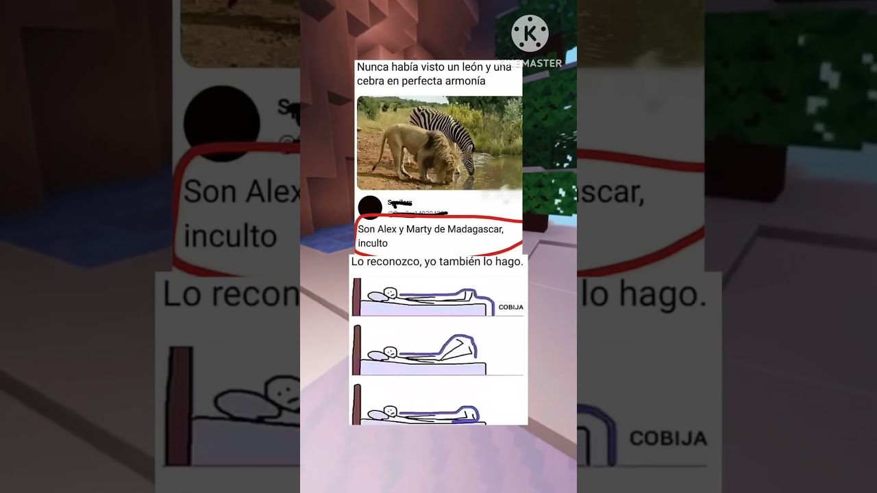 Alex y Marty de Madagascar #shorts #memes #comedy