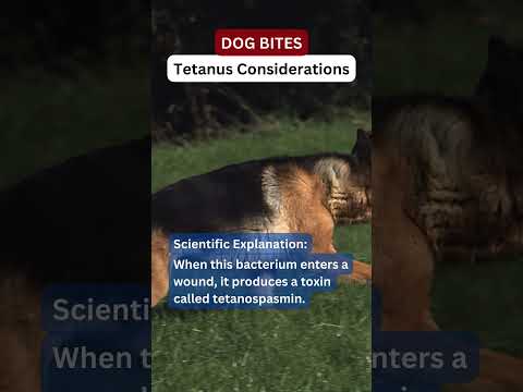 Tetanus and Dog Bites: What You Need to Know - Part1#dog #dogs #dogbites