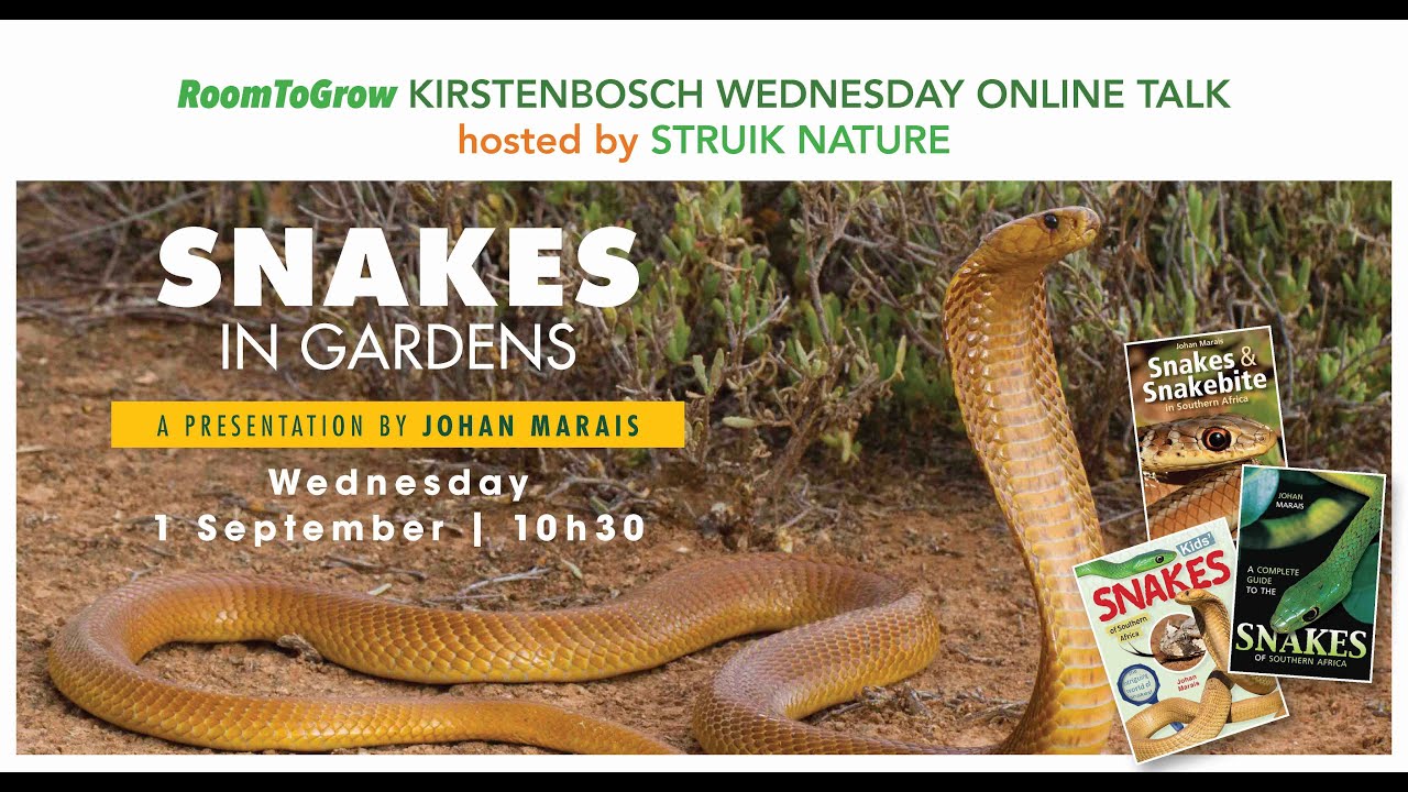 Garden snakes with Johan Marais