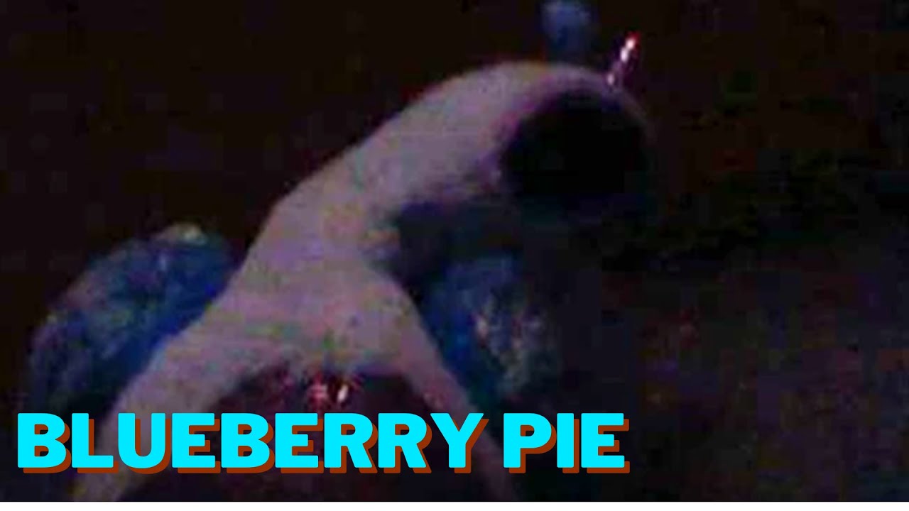 Webkinz: The Blueberry Pie
