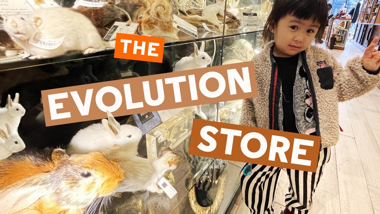 Eat Bug candy at the Evolution Store!