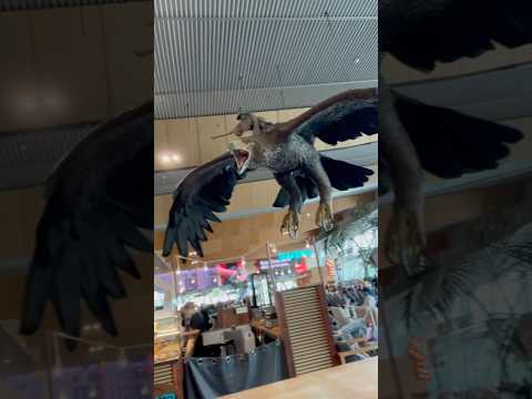 Got to see the Eagles at Wellington Airport on their last day #shorts #lordoftherings #travel #edit