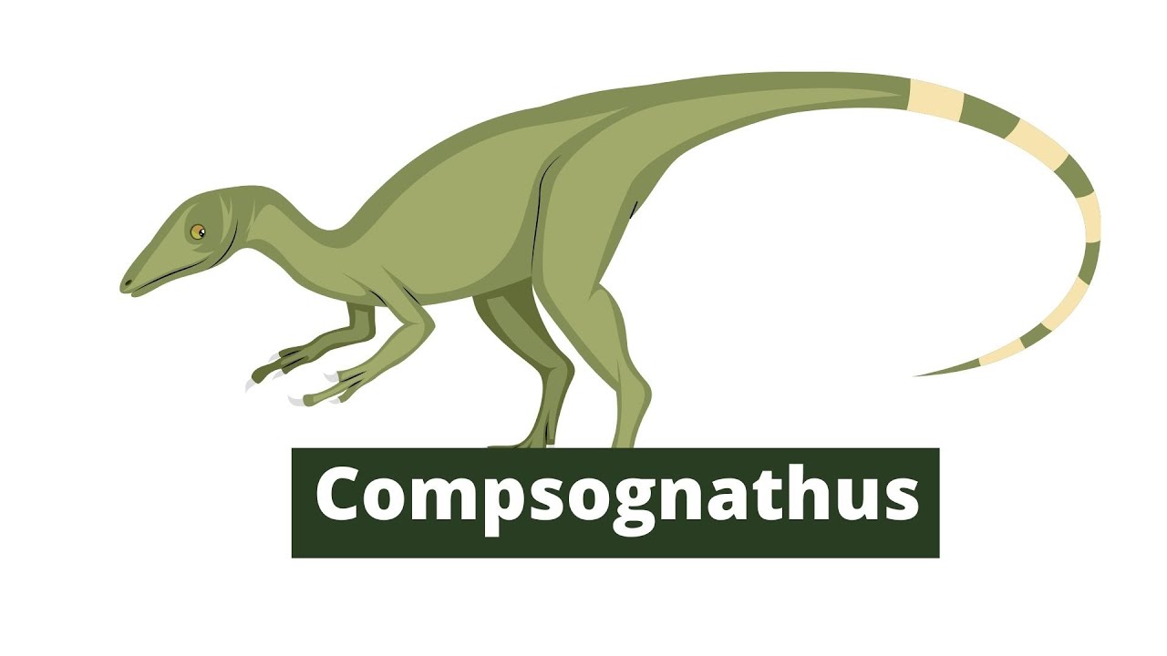 Compsognathus Facts - Diet, Speed, Size